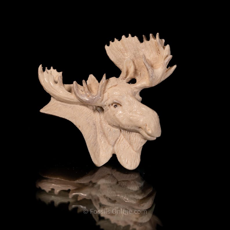 Moose Head Carved From Moose Antler - Etsy
