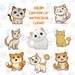 Cats Clipart Bundle, Cute Cat Pngs, 12pngs 300DPI, Transparent, Instant ...