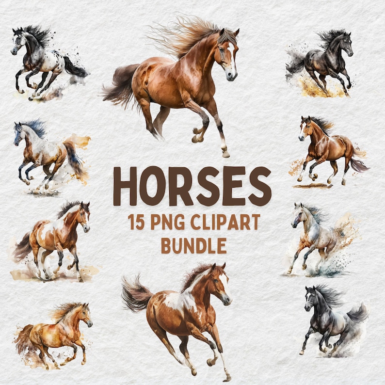 Horse Clipart Bundle, Floral Horses Clipart, Watercolor Clipart, 15 ...