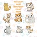 Cats Clipart Bundle, Cute Cat Pngs, 12pngs 300DPI, Transparent, Instant ...