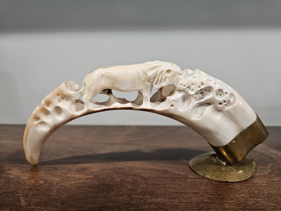 Warthog Tusk With Lion Carvings - Etsy
