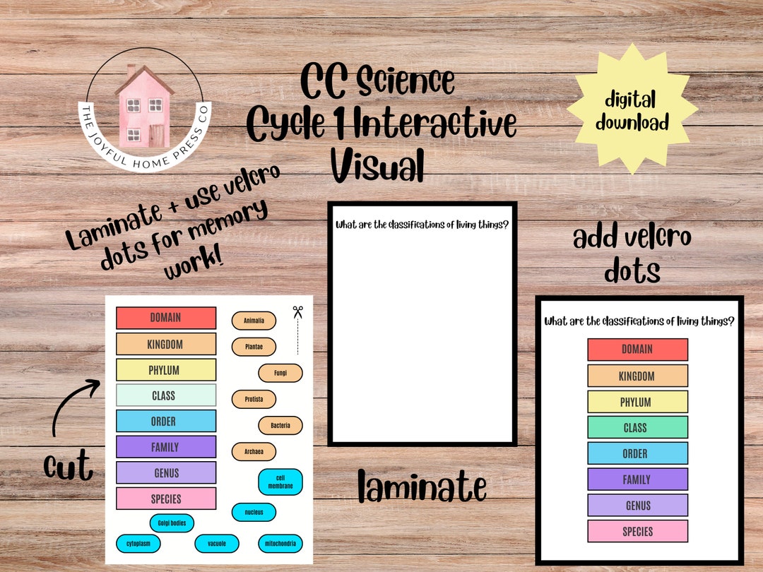 CC Science Cycle 1 Interactive Visual, Laminate and Velcro, Classical ...