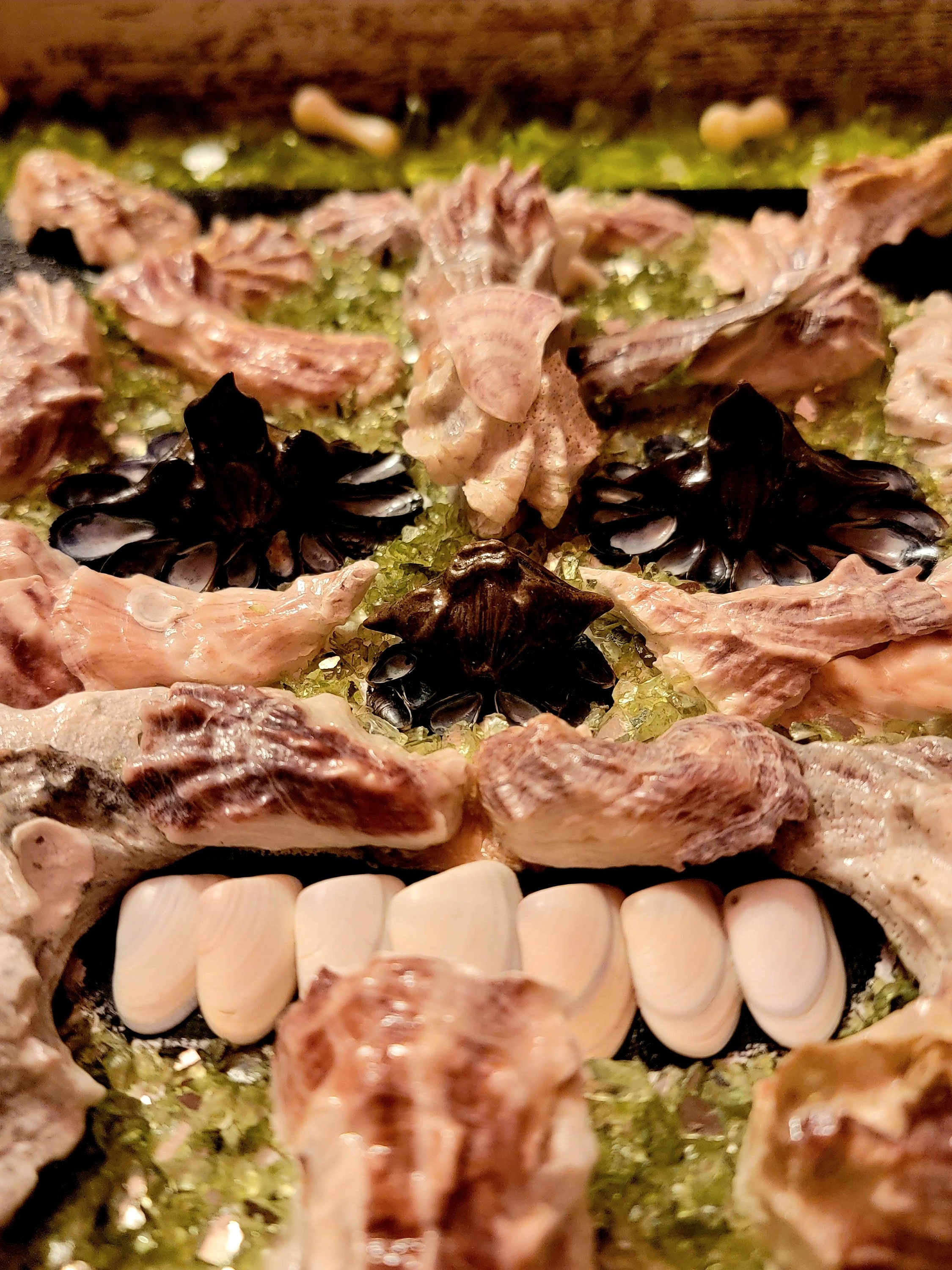 Skeleton's Skull Original Mixed Media Seashell Halloween Mosaic and an ...