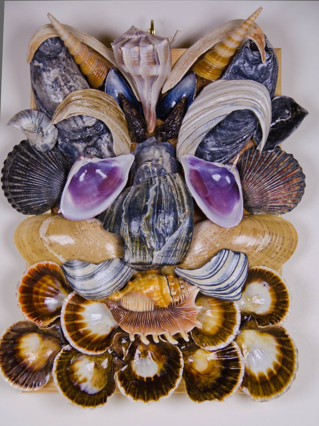 Ocean Creature. Decoration Collectible Seashell Wall Nautical Mask. 9 ...
