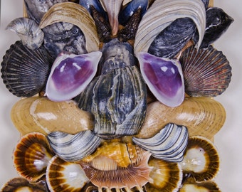 Ocean Monster. Decoration Collectible Seashell Wall Nautical | Etsy