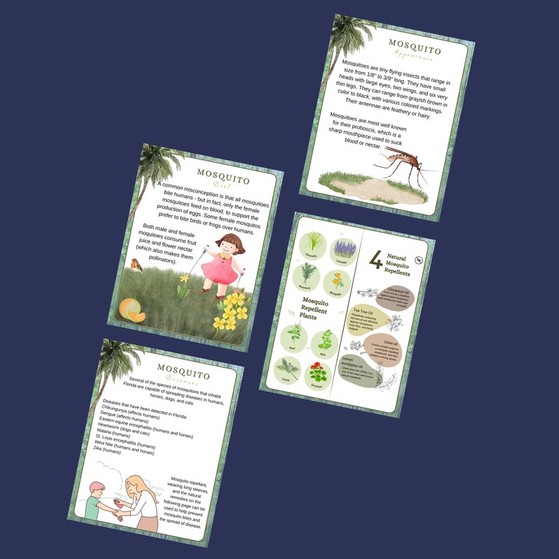 Florida Mosquitoes Lesson Plan - Homeschool Materials - Insect Learning ...