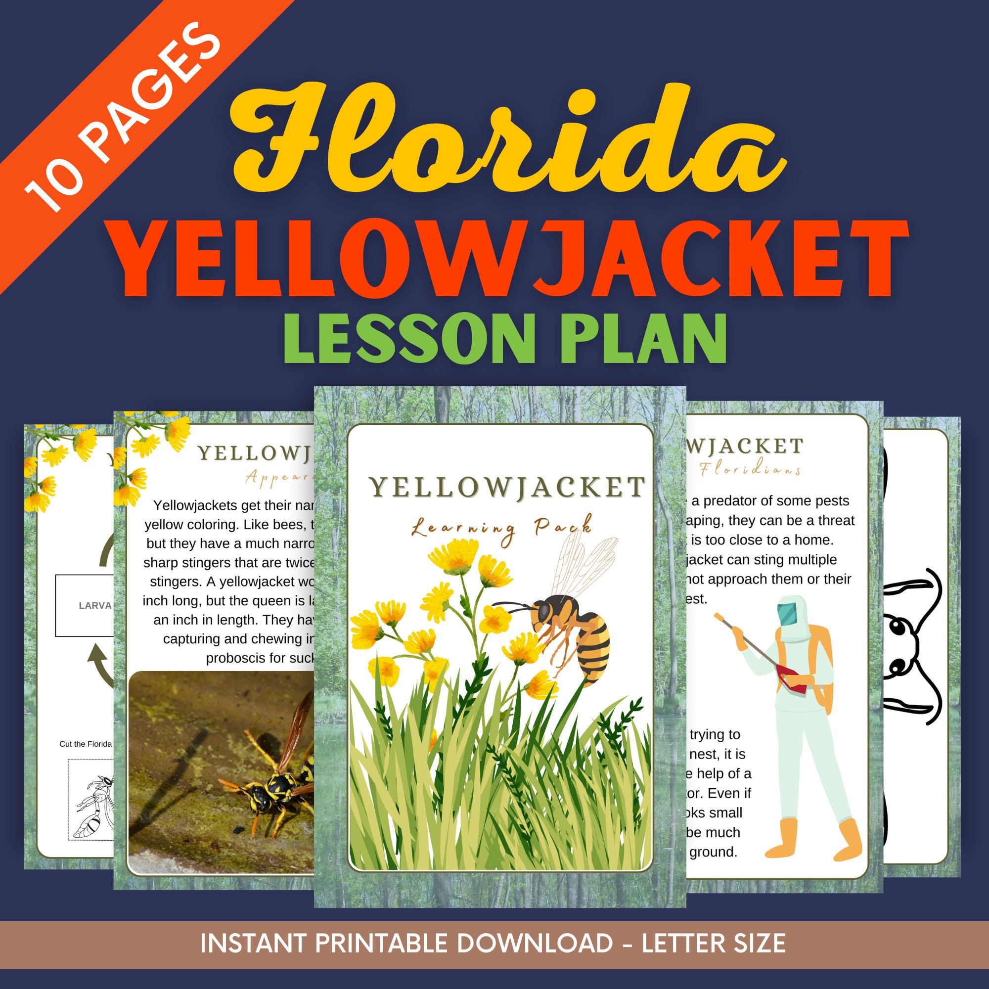 Florida Yellowjacket Wasp Lesson Plan - Homeschool Materials - Insect ...