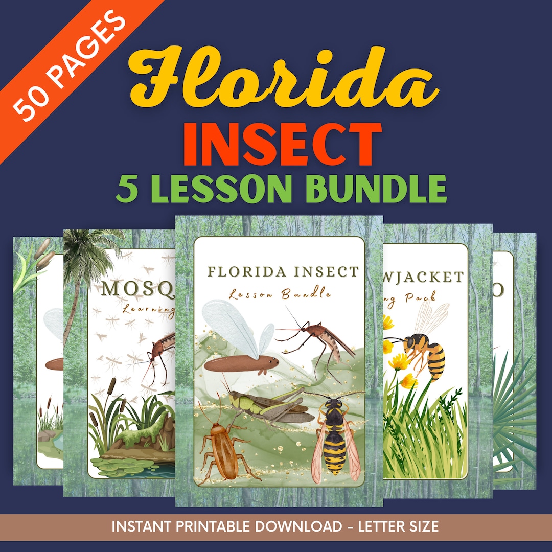 Florida Insect Lesson Bundle - Mosquitoes Lubbers Midges Yellowjackets ...