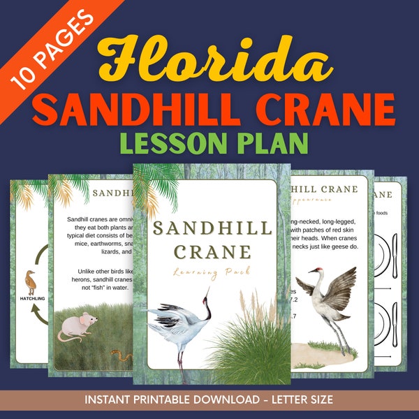 Sandhill Crane - Etsy