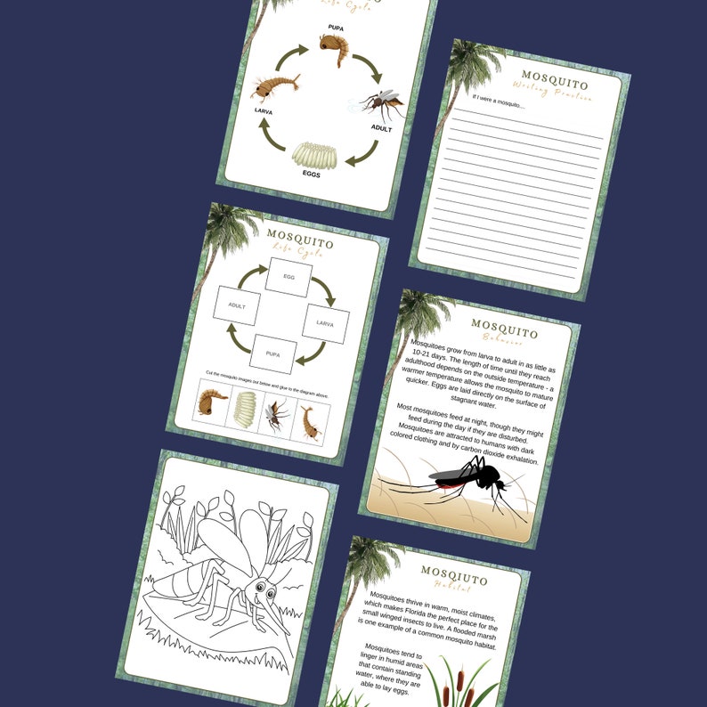 Florida Mosquitoes Lesson Plan - Homeschool Materials - Insect Learning ...