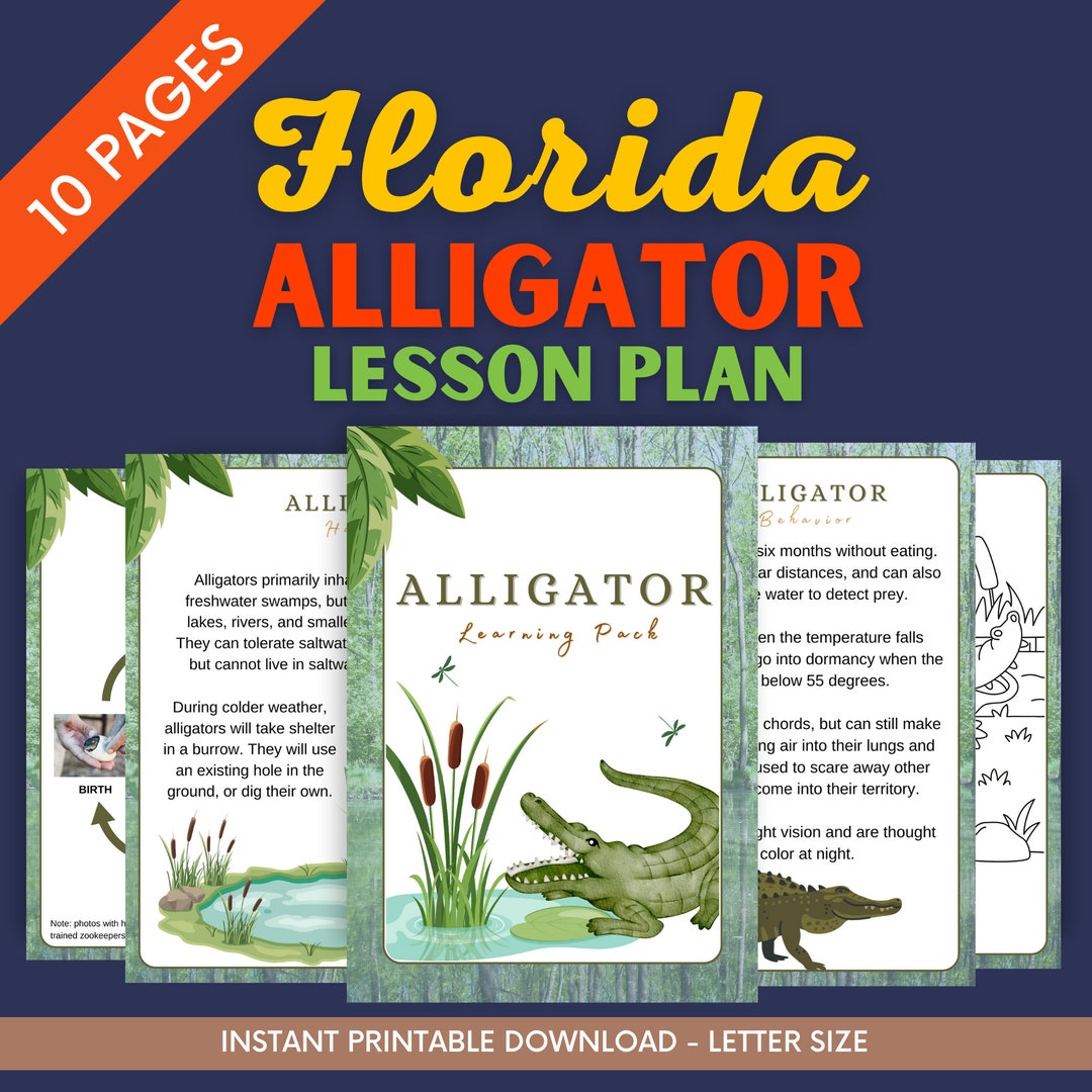 Florida Alligator Lesson Plan - Homeschool Materials - Reptile Learning ...