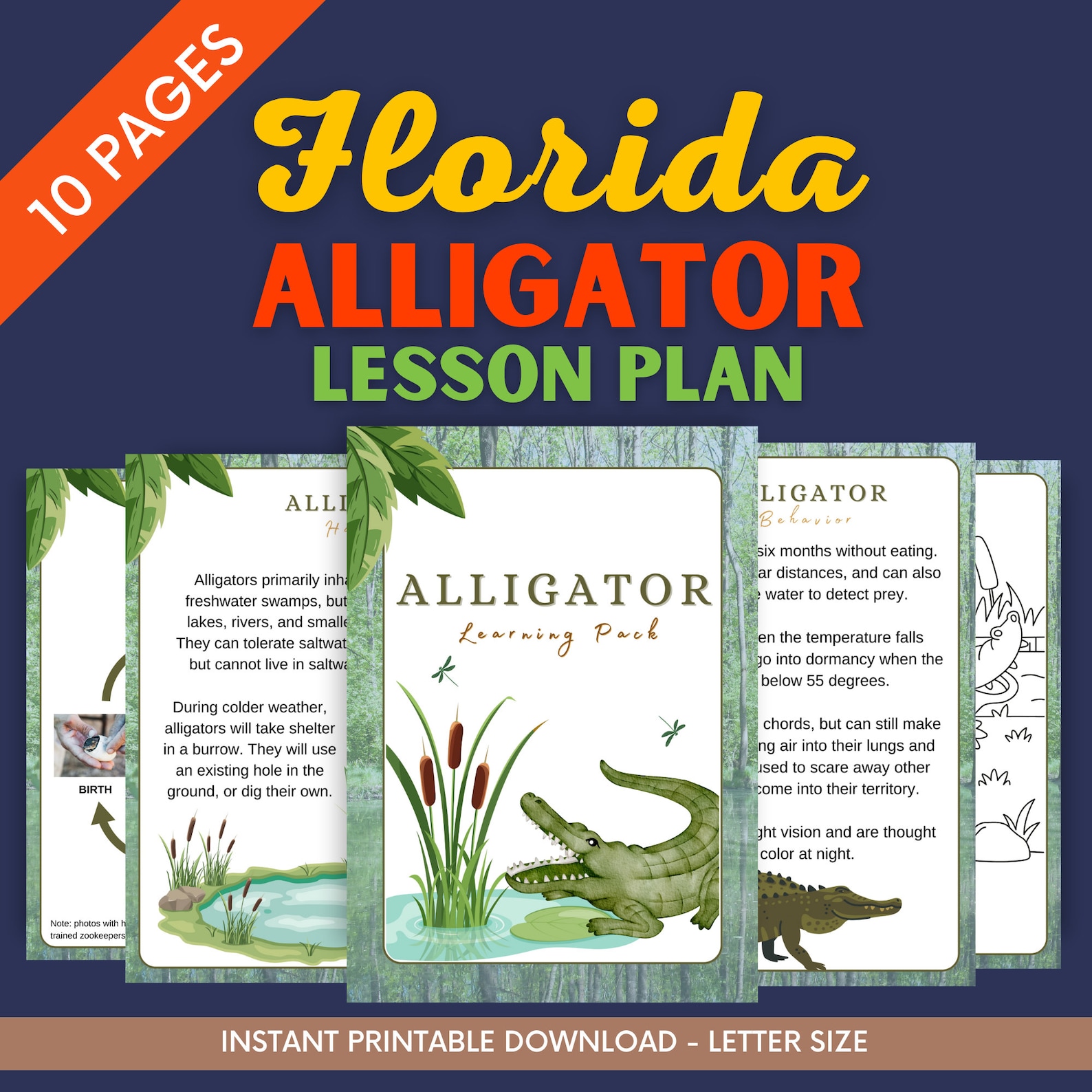 Florida Alligator Lesson Plan - Homeschool Materials - Reptile Learning ...
