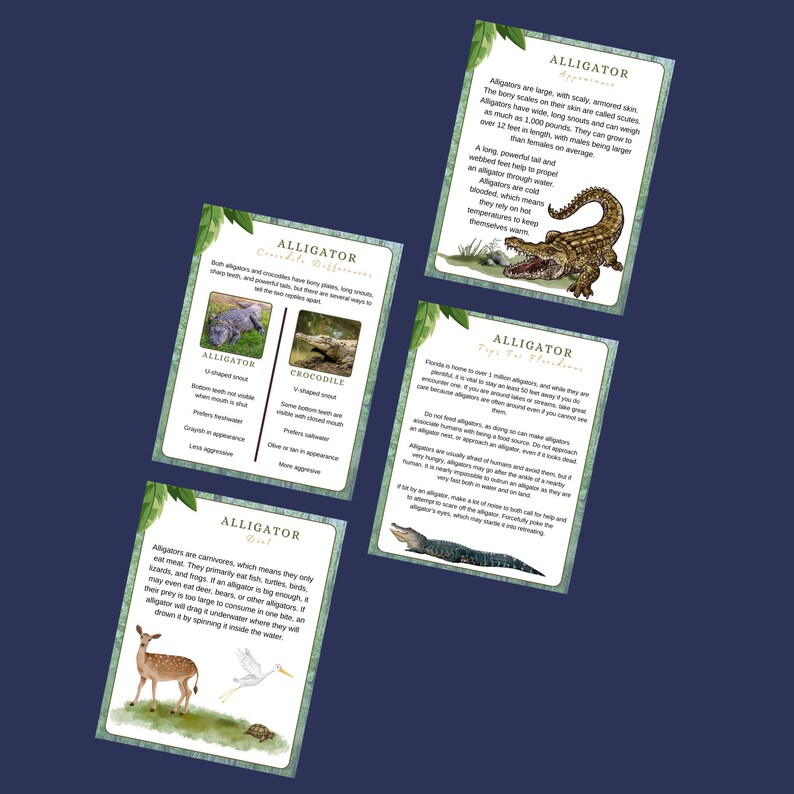 Florida Alligator Lesson Plan - Homeschool Materials - Reptile Learning ...