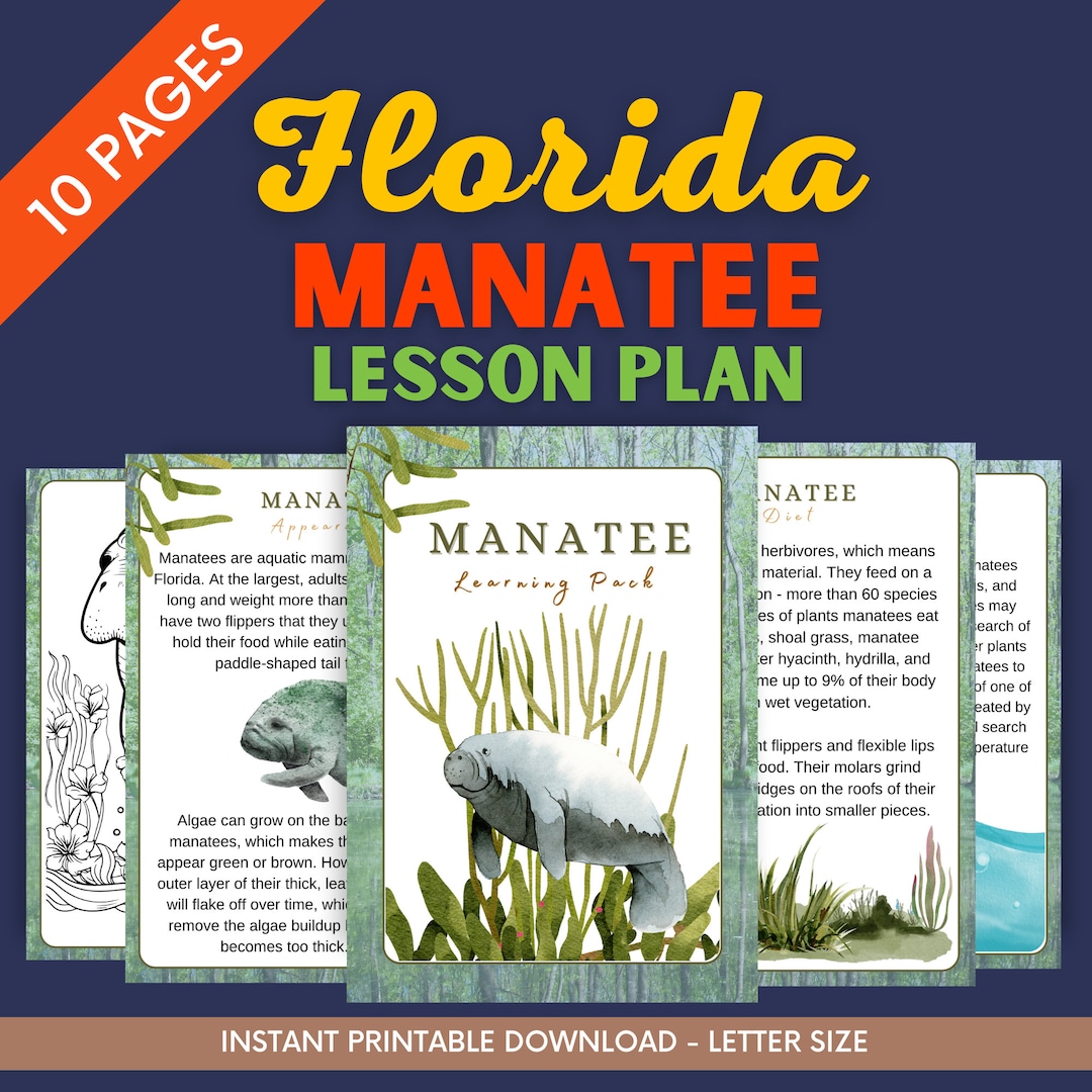Florida Manatee Lesson Plan - Homeschool Materials - Aquatic Mammal ...
