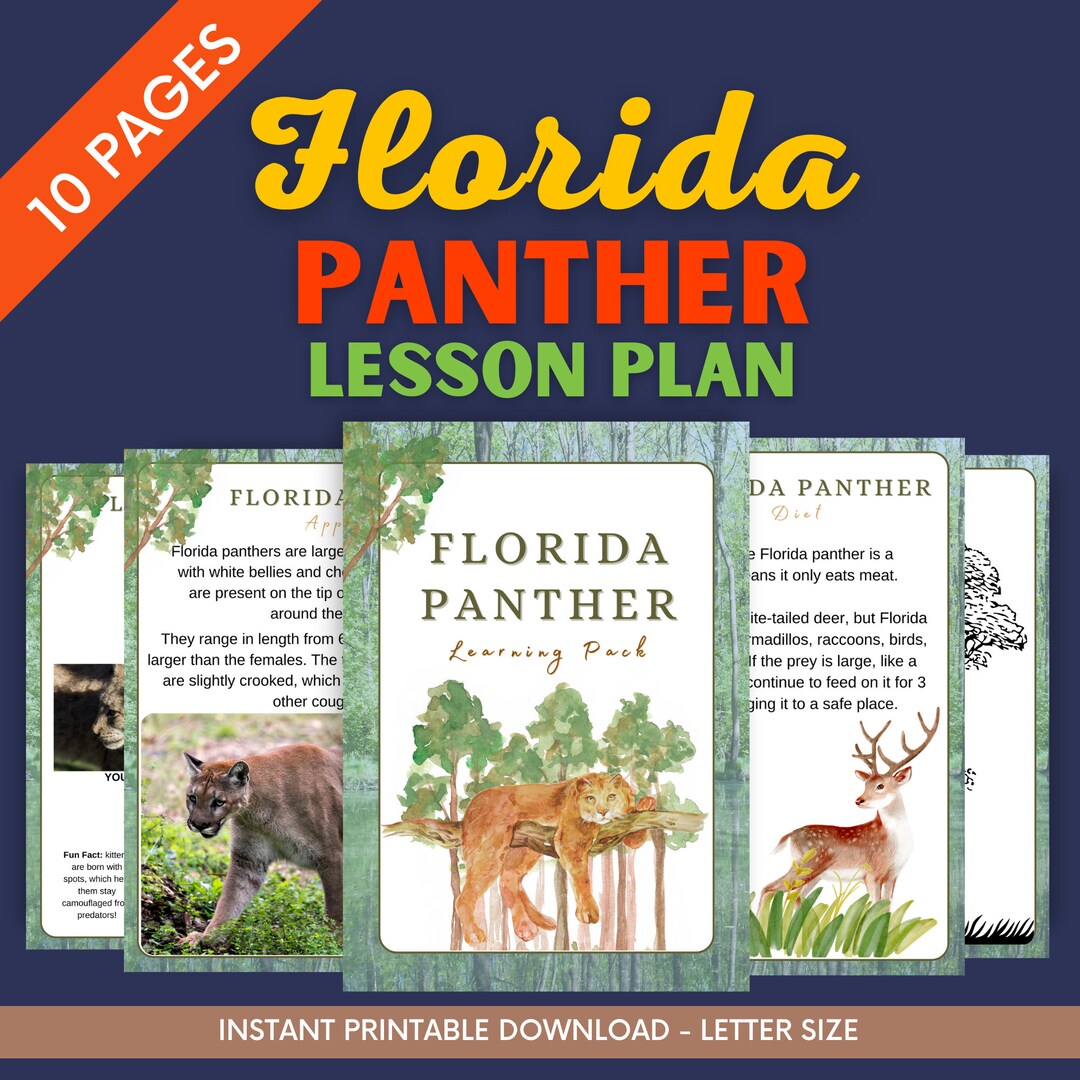 Florida Panther Lesson Plan - Homeschool Materials - Wild Cat Learning ...