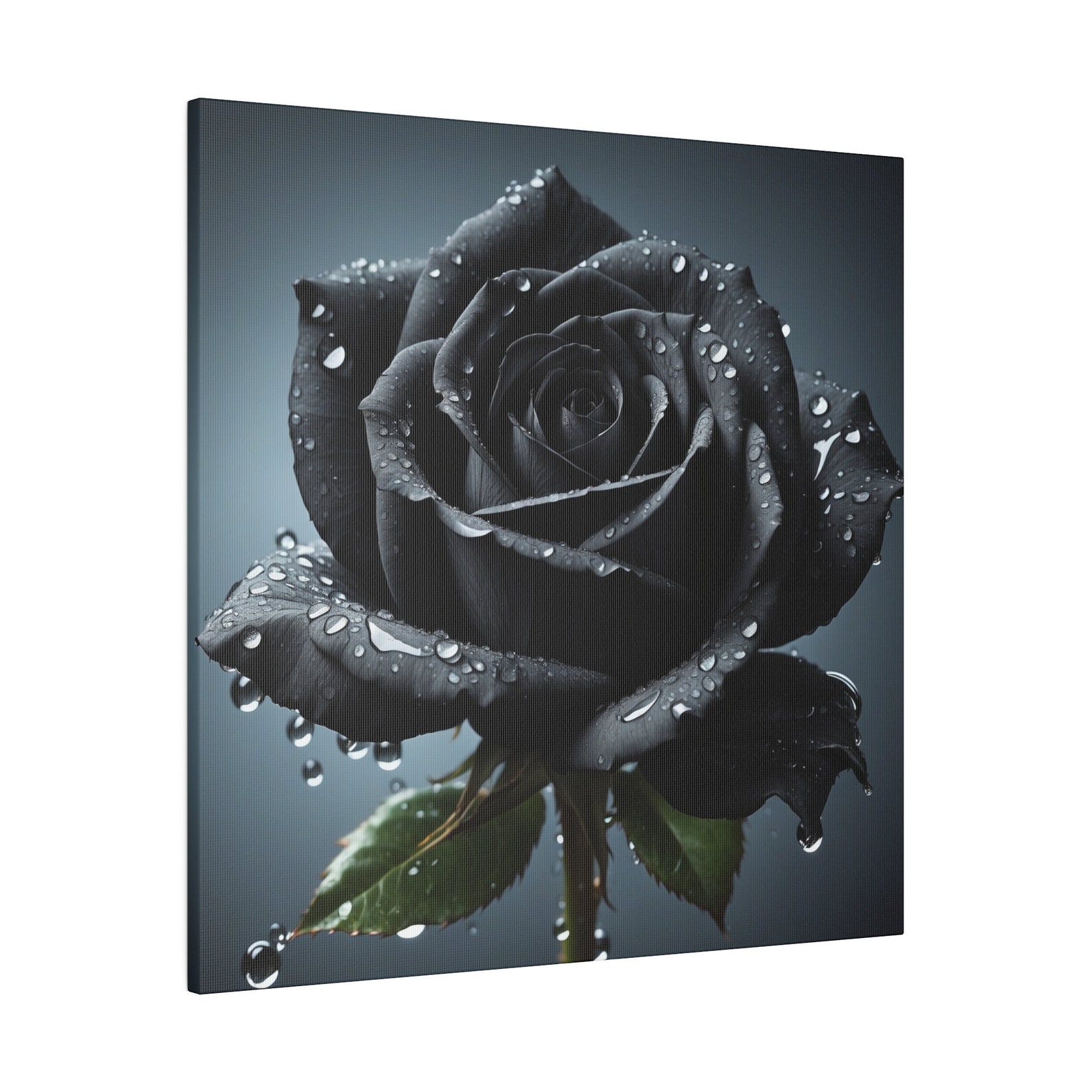 Black Rose Kissed, Matte Canvas, Stretched, 0.75". A Single Black Rose ...