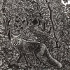 Nightingale Walk - Etsy