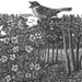 Nightingale Walk - Etsy