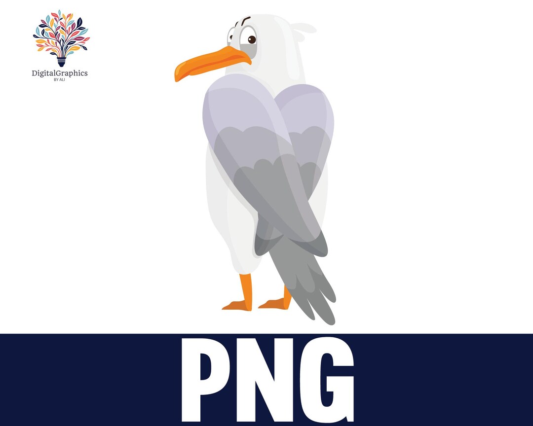 Seagull Bird Png, Seagull Birds Png, Cartoon Seagull Png, Seagull Art ...