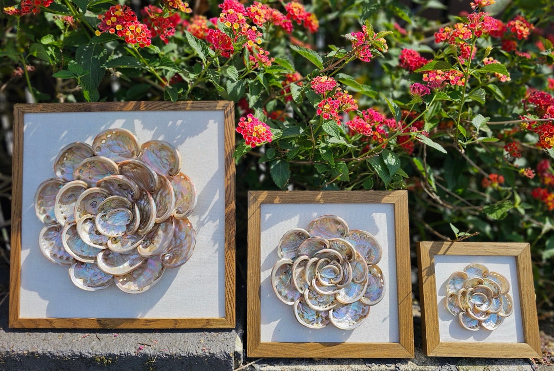 Handmade Abalone Shell Frame, Coastal Wall Decor, Seashell Art, Unique ...