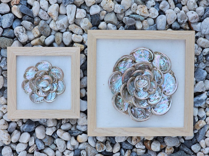 Abalone Shell Art, Abalone Shell Frame, Real Shell Art, Shell Flower ...