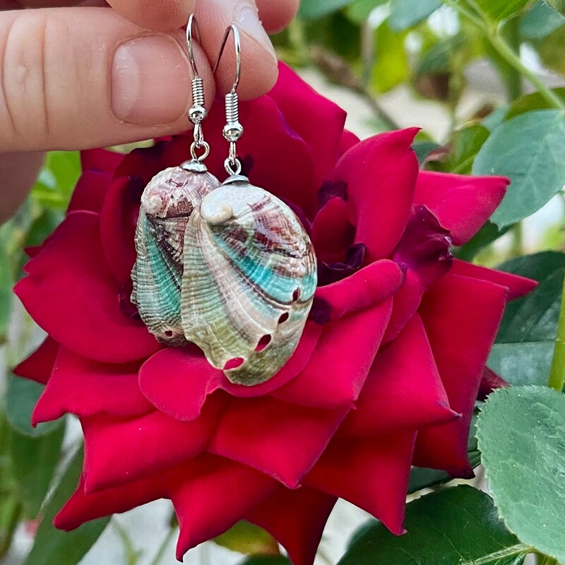 Shell Earrings - Etsy
