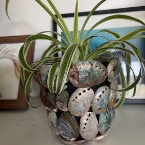 Handmade Red Abalone Plant Pot, Orchid & Decorative Pot, Sustainable ...