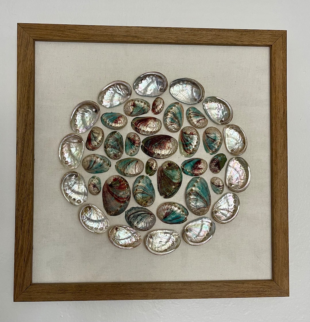 Abalone Shell Art, Red Abalone Shell, Shell Art Print, Framed Shell Art ...
