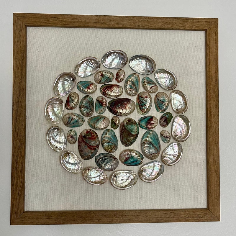 Shell Art - Etsy
