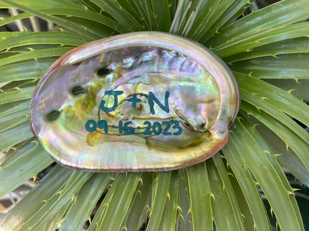 Gloss Finished Bulk Red Abalone Shells, Customizable, Coastal Decor ...