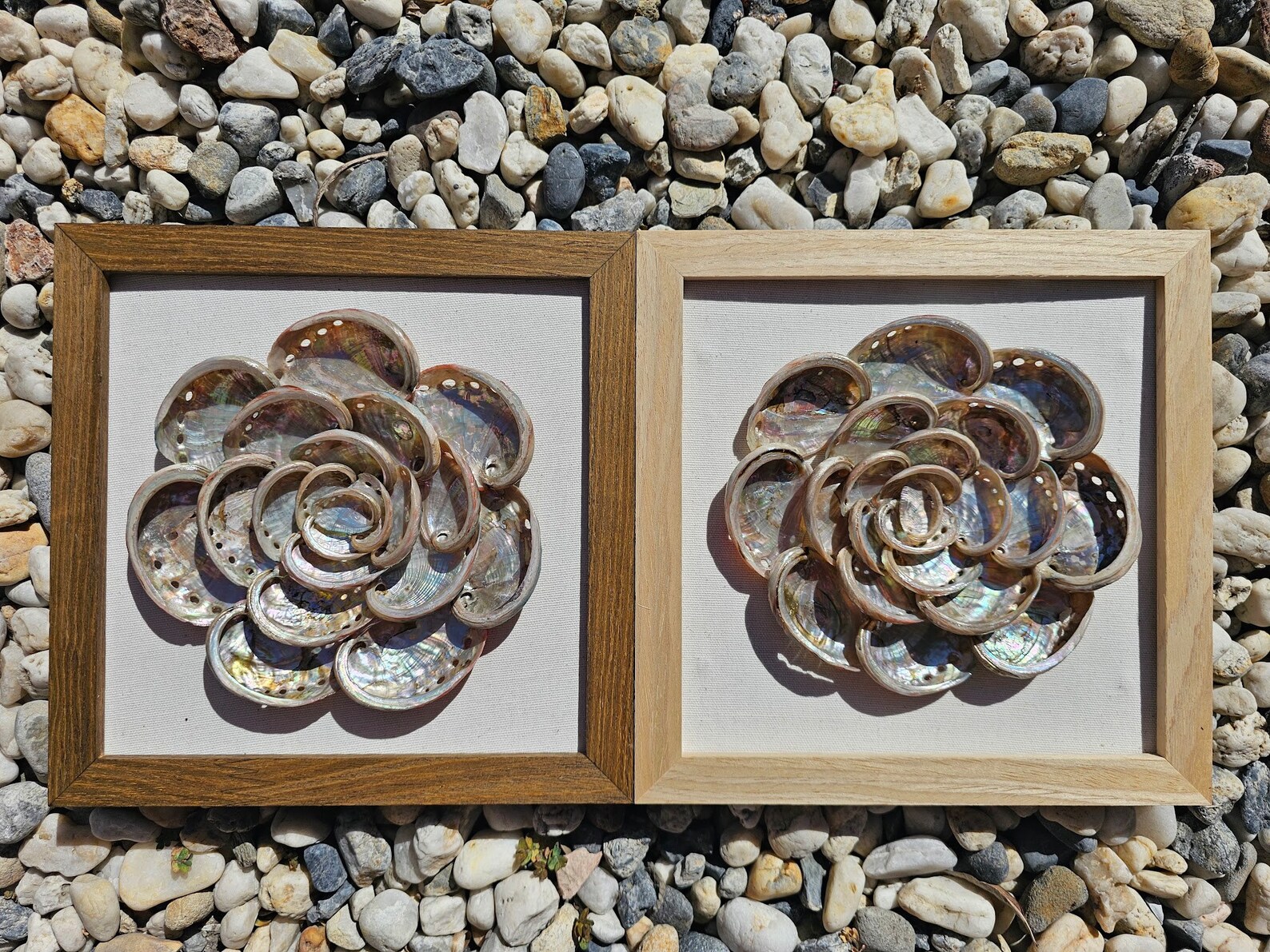 Abalone Shell Art, Abalone Shell Frame, Real Shell Art, Shell Flower ...