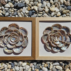 Abalone Shell Art, Abalone Shell Frame, Real Shell Art, Shell Flower ...