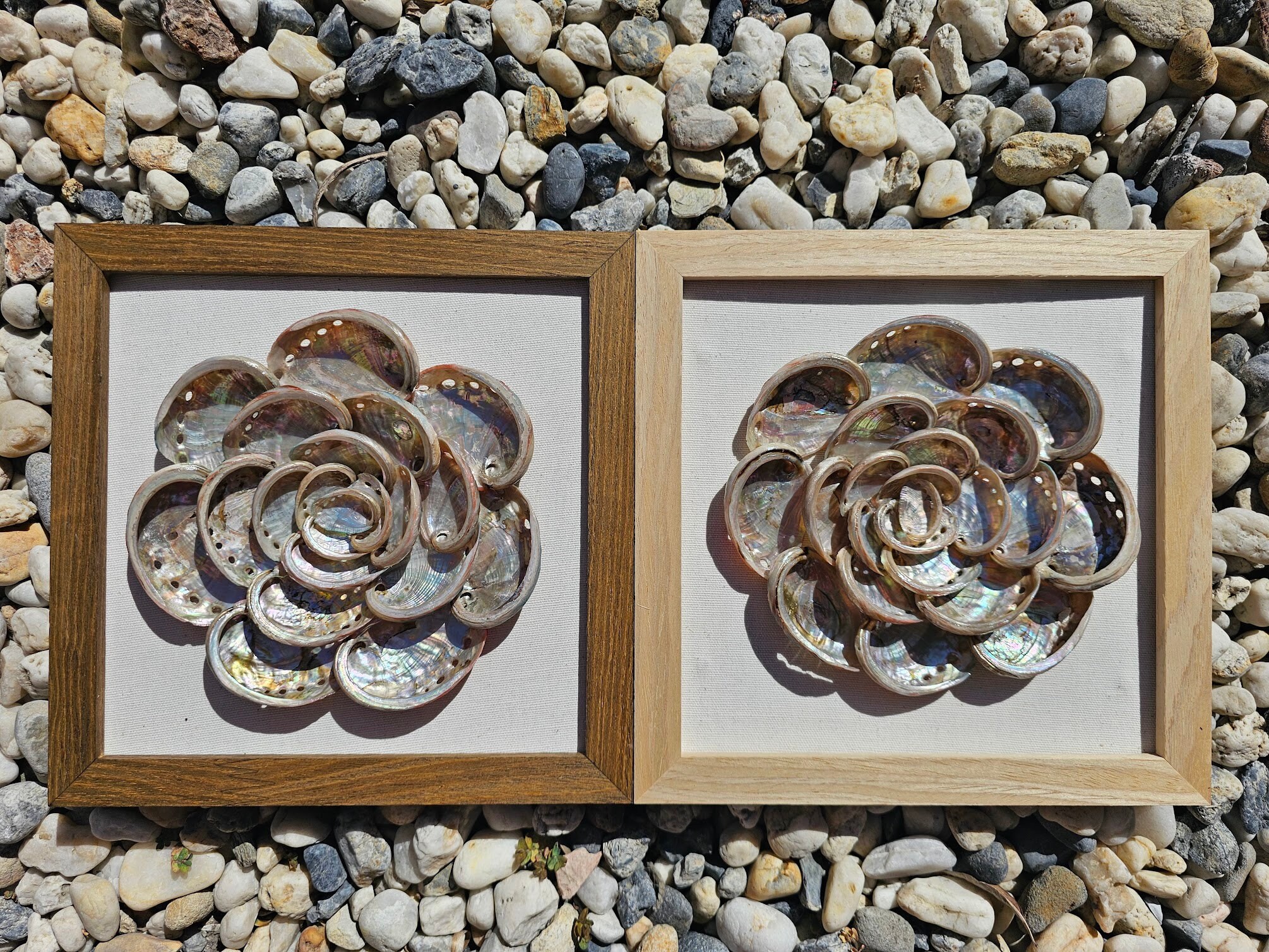 Abalone Shell Art, Abalone Shell Frame, Real Shell Art, Shell Flower ...