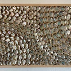 Red Abalone Art, Shell Wall Art, 3D Shell Art, Coastal Shell Art ...