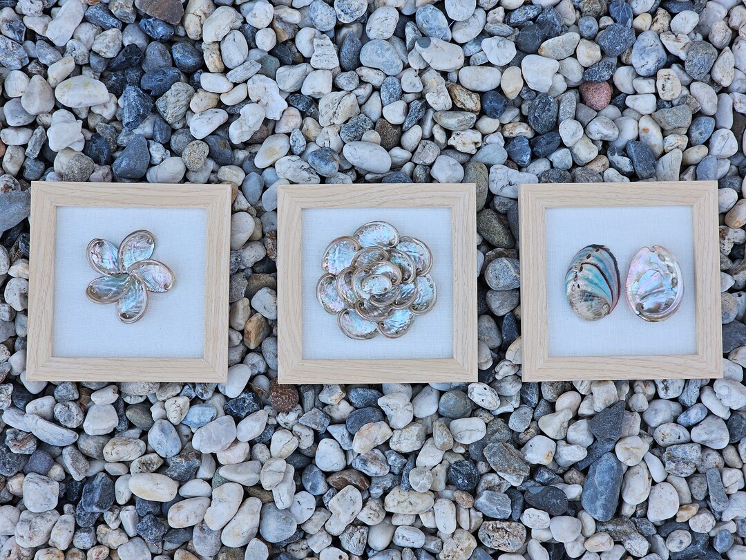 Set of 3 Mini Handmade Abalone Shell Frames, Coastal Wall Decor Trio ...