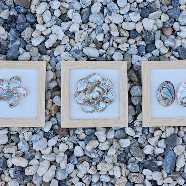 Shell Art Work - Etsy