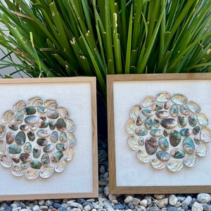 Abalone Shell Art, Red Abalone Shell, Shell Art Print, Framed Shell Art ...