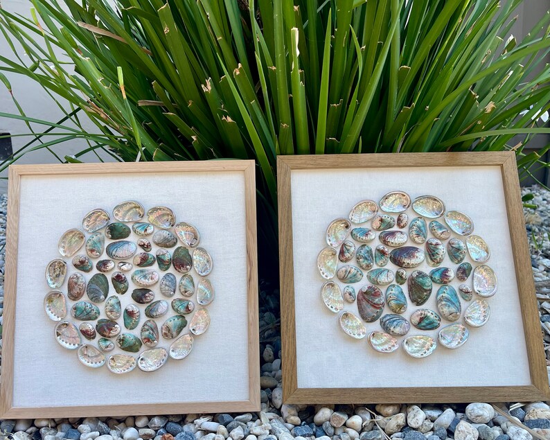 Abalone Shell Art, Red Abalone Shell, Shell Art Print, Framed Shell Art ...