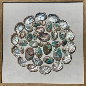 Abalone Shell Art, Red Abalone Shell, Shell Art Print, Framed Shell Art ...