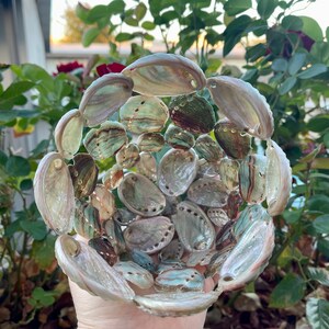 Handmade Red Abalone Plant Pot, Orchid & Decorative Pot, Sustainable ...