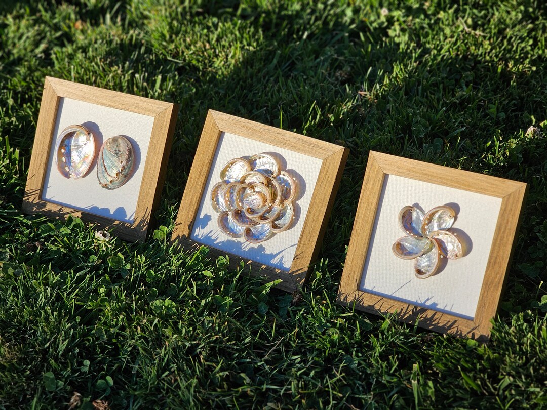 3D Shell Art, Shell Framed Art, Abalone Shell Art, Coastal Shell Art ...