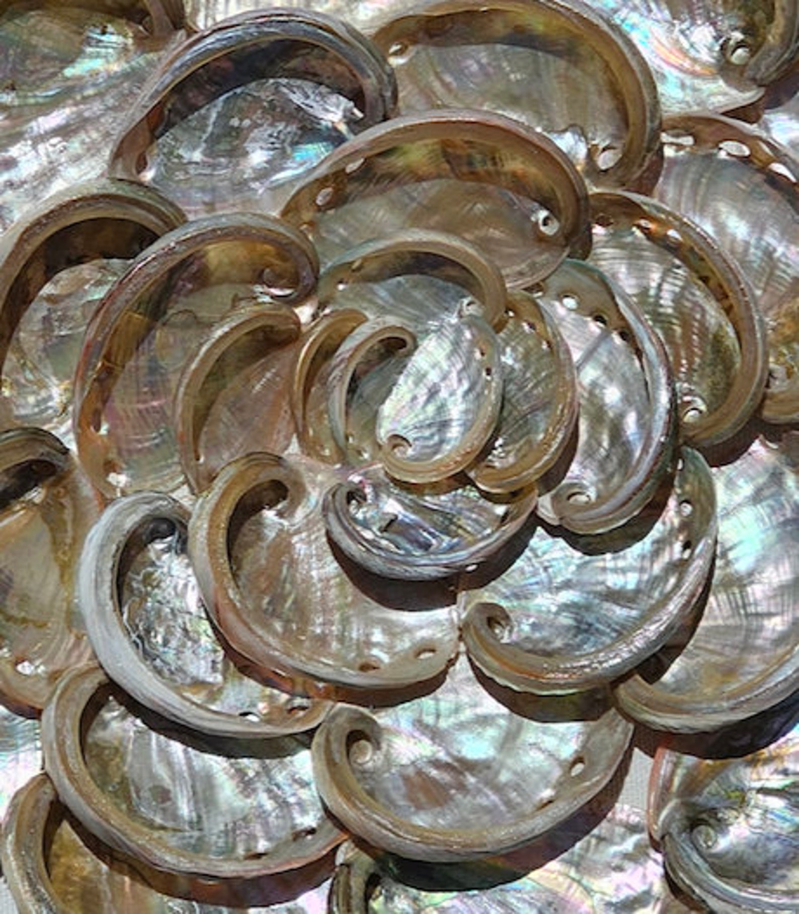 Abalone Shell Art, Abalone Shell Frame, Real Shell Art, Shell Flower ...