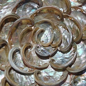 Abalone Shell Art, Abalone Shell Frame, Real Shell Art, Shell Flower ...