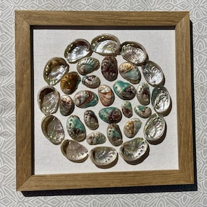 Abalone Shell Art, Red Abalone Shell, Shell Art Print, Framed Shell Art ...