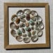 Abalone Shell Art, Red Abalone Shell, Shell Art Print, Framed Shell Art ...