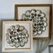 Abalone Shell Art, Red Abalone Shell, Shell Art Print, Framed Shell Art ...