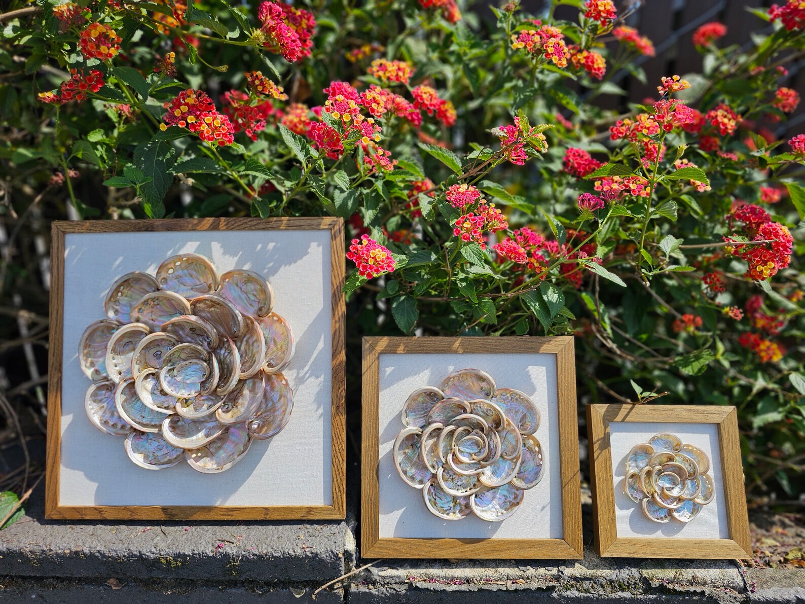 Abalone Shell Art, Abalone Shell Frame, Real Shell Art, Shell Flower ...