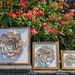 Abalone Shell Art, Abalone Shell Frame, Real Shell Art, Shell Flower ...