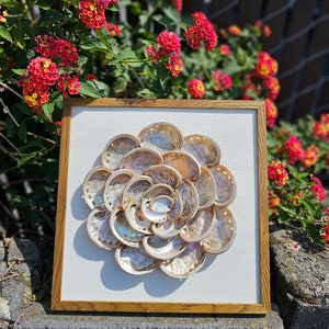 Abalone Shell Art, Abalone Shell Frame, Real Shell Art, Shell Flower ...