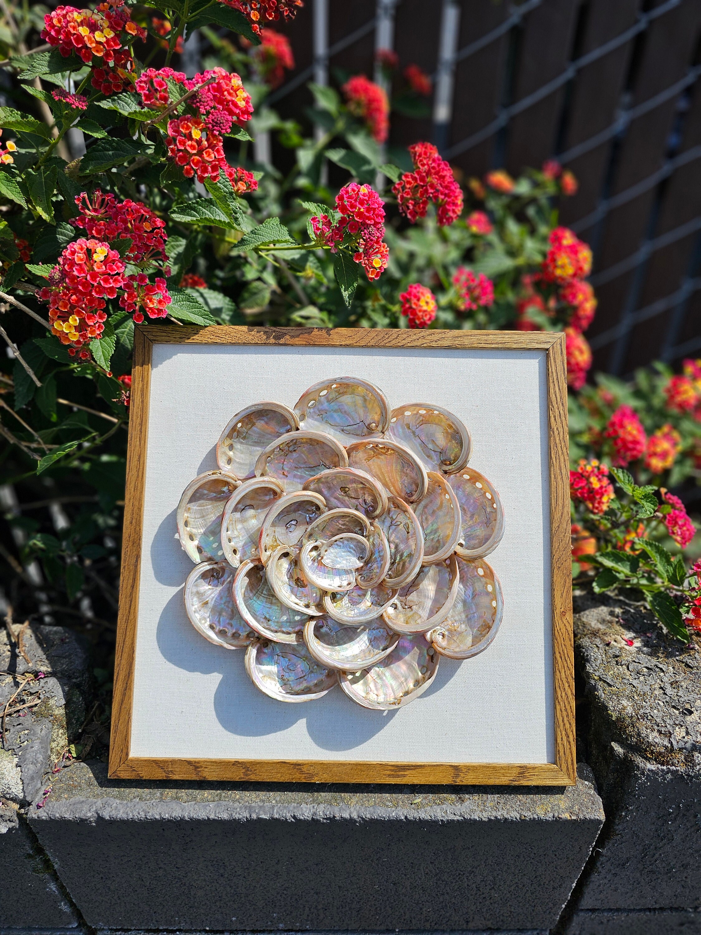 Abalone Shell Art, Abalone Shell Frame, Real Shell Art, Shell Flower ...
